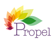 Propel Learning | ZeeFi